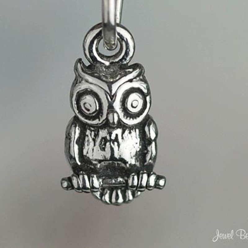 Owl Charms - Etsy