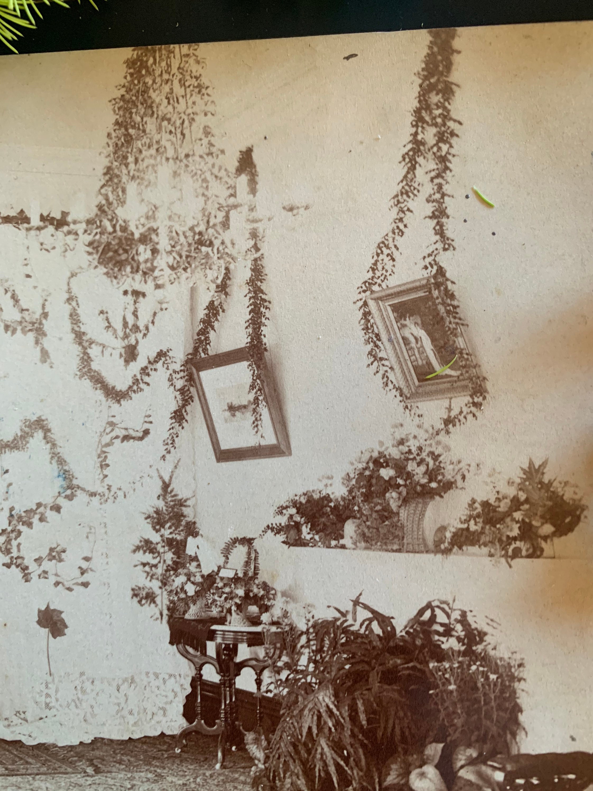 Cabinet Photo Antique Photo Wedding of Indie Ferguson 1883 Interior ...