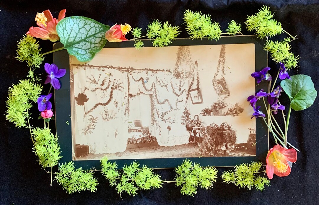 Cabinet Photo Antique Photo Wedding of Indie Ferguson 1883 Interior ...