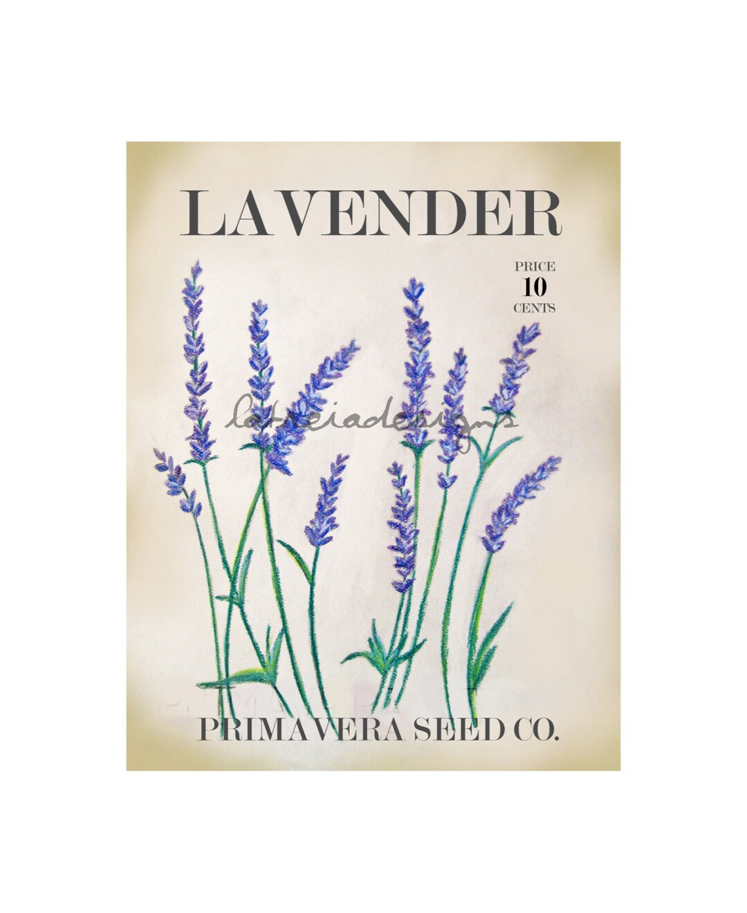 Lavender Art - Botanical Art Print - Botanical Print - Spring Art ...