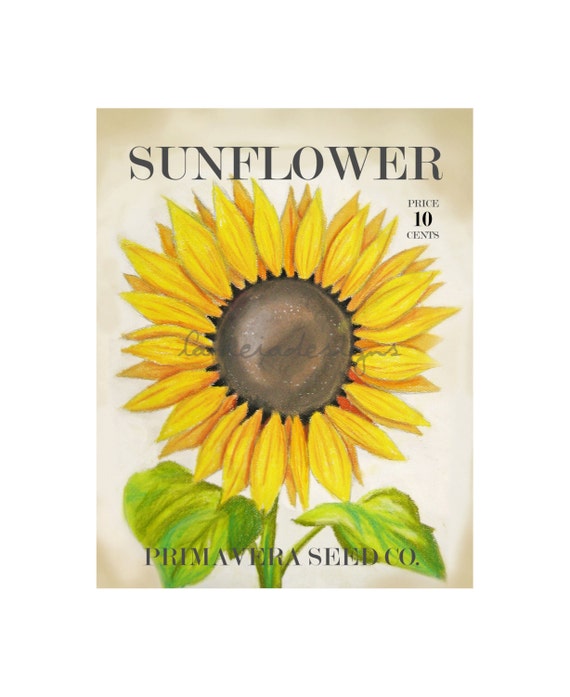 Sunflower Art Spring Art Garden Art Botanical Art Print | Etsy