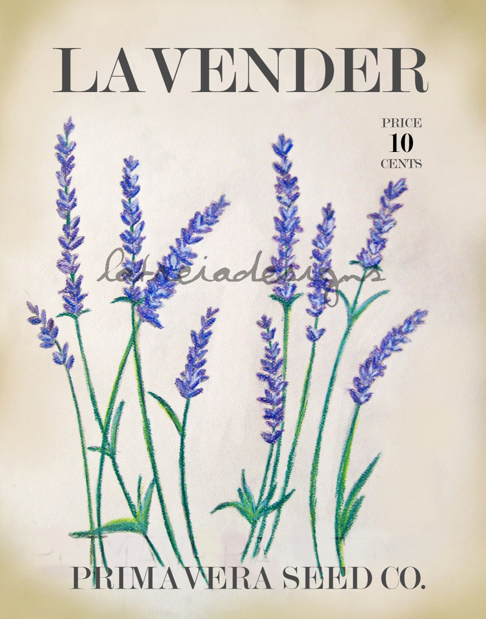 Lavender Art - Botanical Art Print - Botanical Print - Spring Art ...