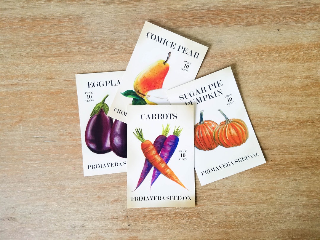Harvest Postcard Set - Art Postcards, Fall Postcards, Fall Stationery ...