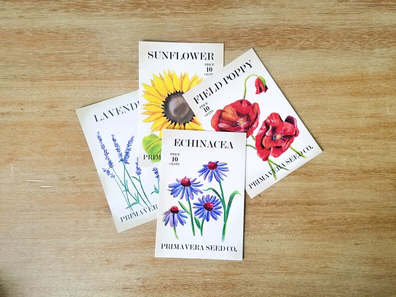 Flower Postcard Set Art Postcards Garden Postcards Garden - Etsy