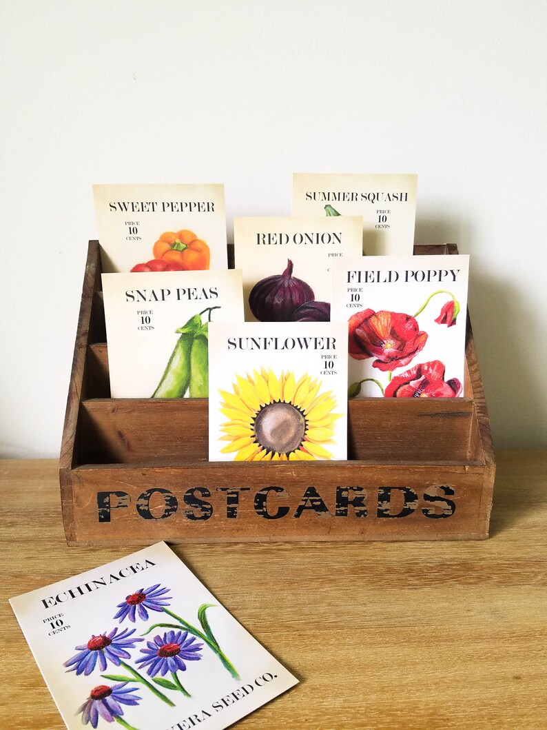 Flower Postcard Set Art Postcards Garden Postcards Garden - Etsy