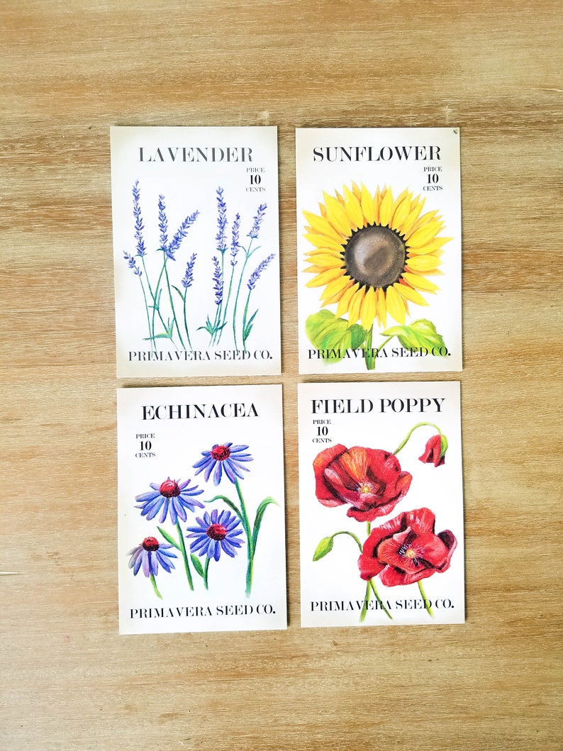 Flower Postcard Set Art Postcards Garden Postcards Garden - Etsy