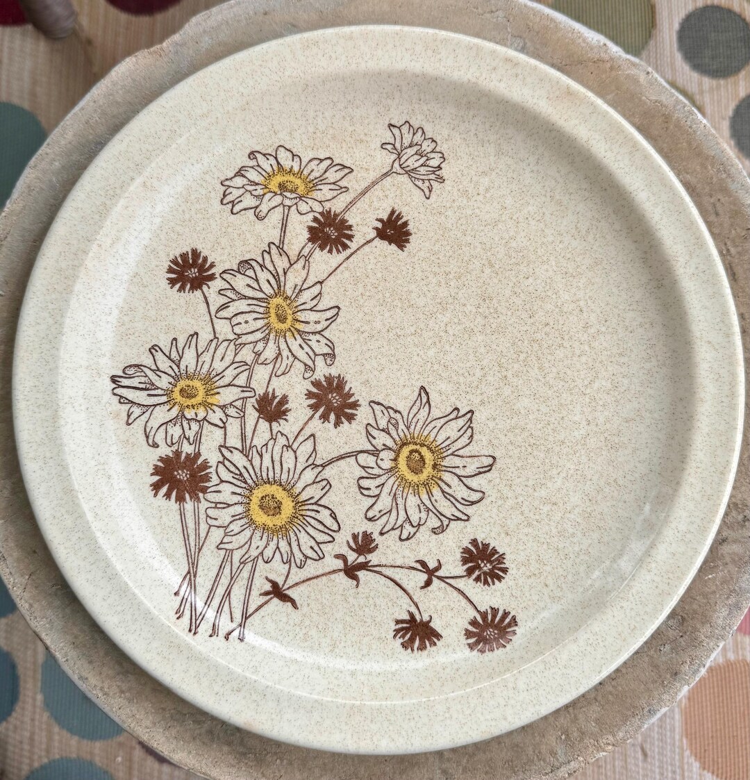 Vintage Roycroft Stoneware Dinner Plates Set of 6 - Etsy