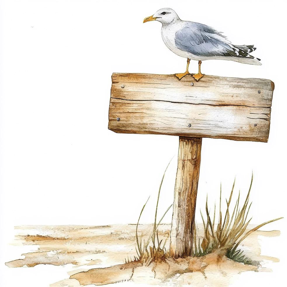 10 Wooden Beach Signpost Clipart, Littoral Board, Seagull, Printable ...