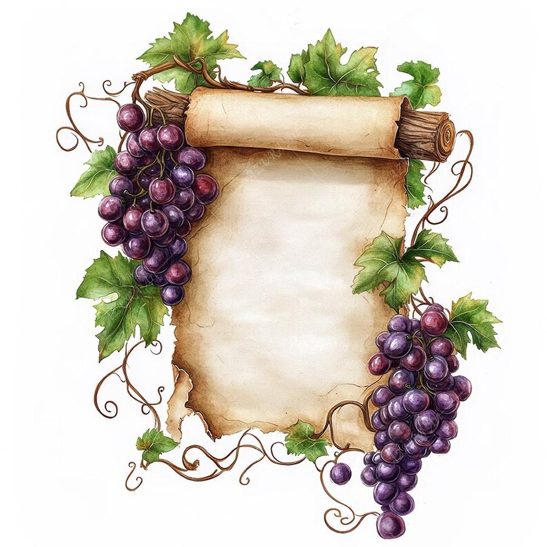 Medieval Scroll Clipart With Grapes, Wine Art (digital Download) - Etsy
