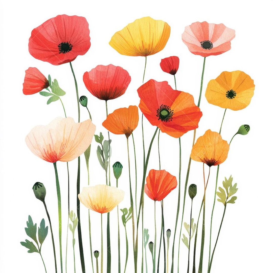 Stylized Poppy Clipart: Red Flower Designs for Junk Journals (digital ...
