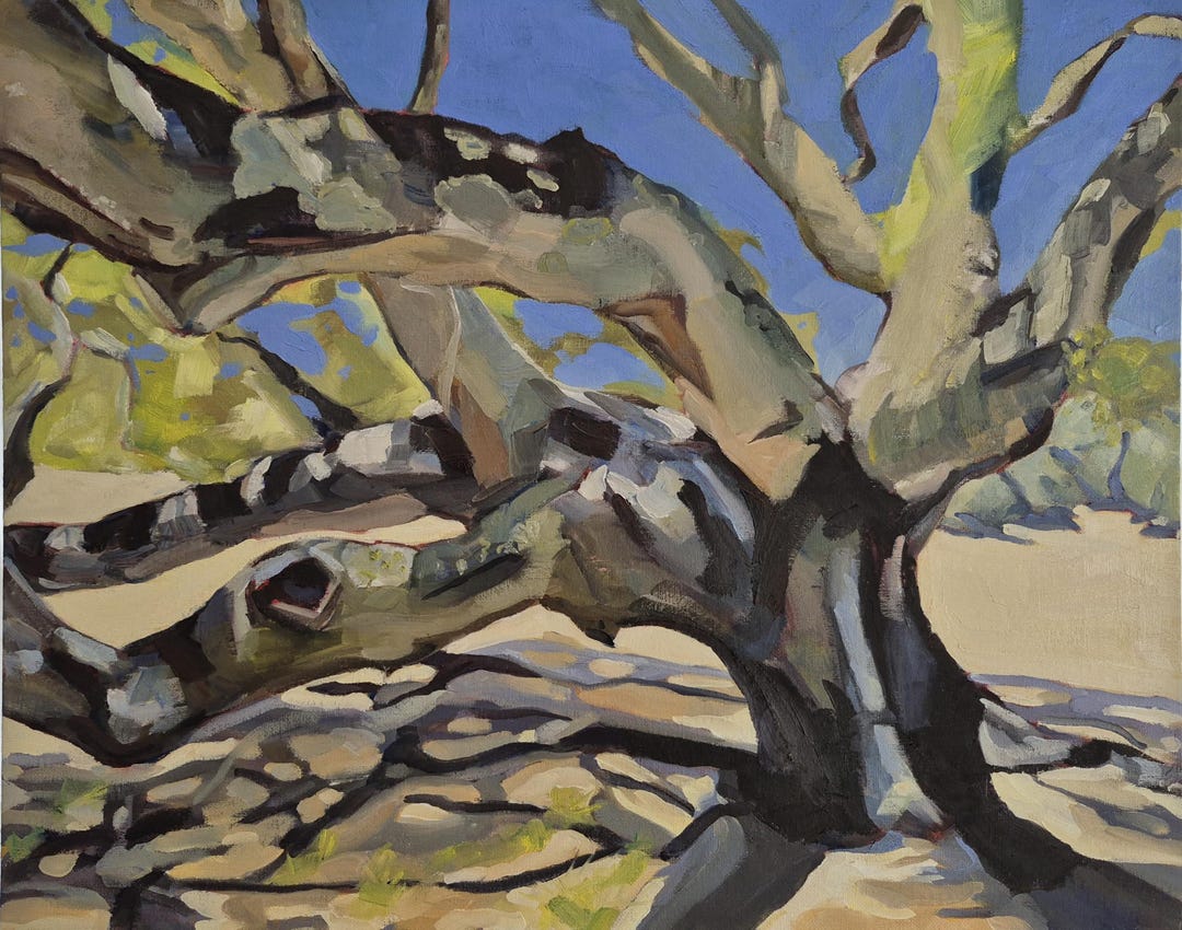 Framed Coast Live Oak Oil Painting: Carmel Valley Summer Landscape - Etsy