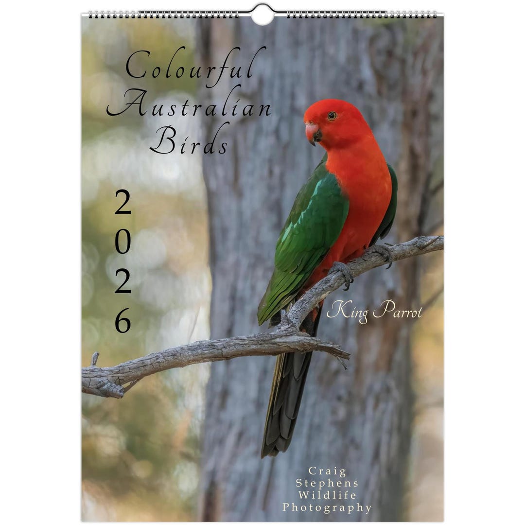 2026 Australian Birds Calendar – Colorful Wildlife Photography - Etsy