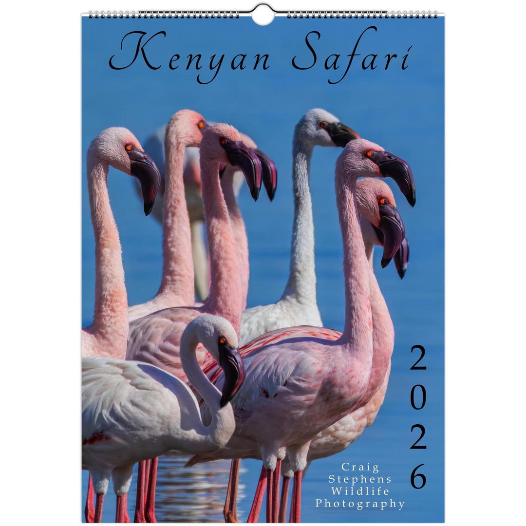 2026 Wildlife Calendar – Kenyan Safari Photography - Etsy