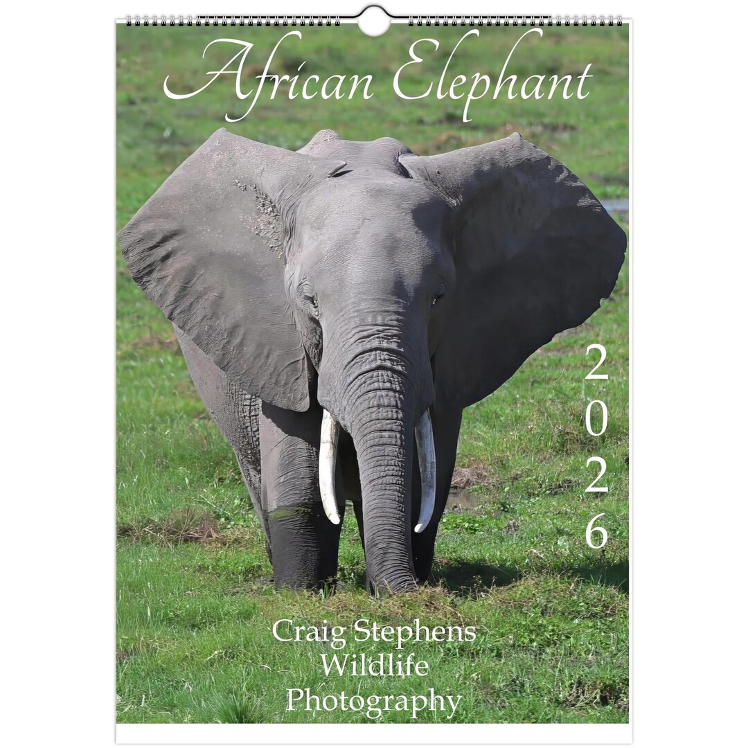 2026 African Elephant Wall Calendar – Amboseli National Park - Etsy