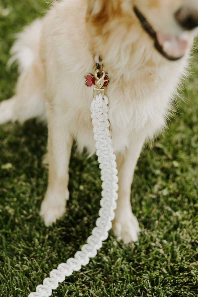 Blush Macrame Dog Leash - Etsy