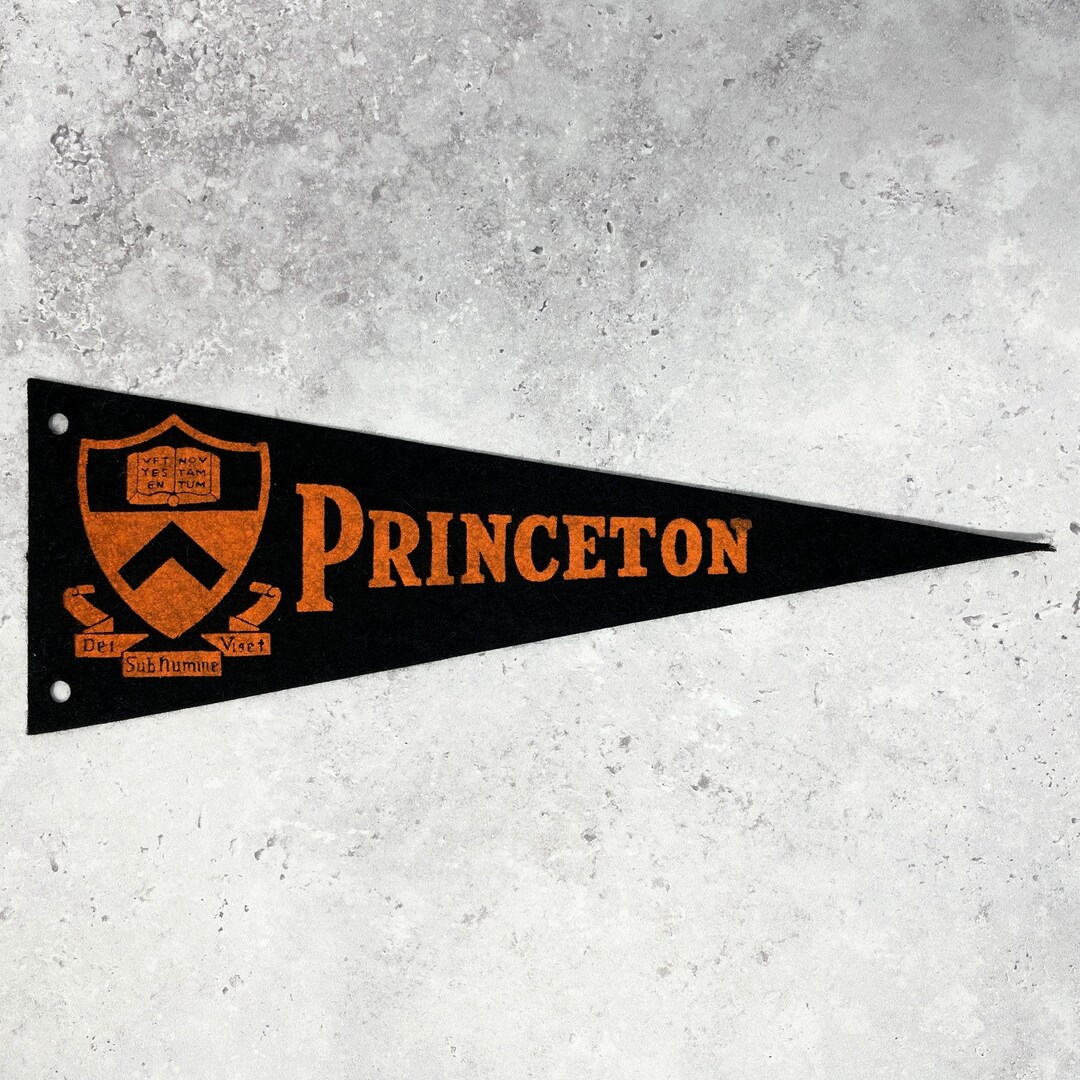 Vintage Princeton Mini Pennant 60s Felt NCAA University Ivy League Dorm ...