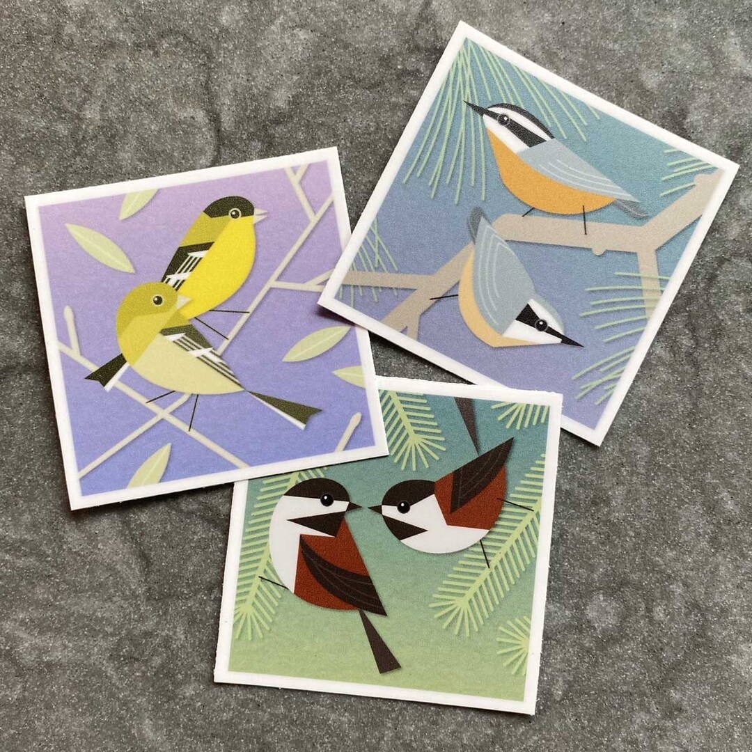 PNW Backyard Bird Sticker Set (3 Stickers) - Etsy