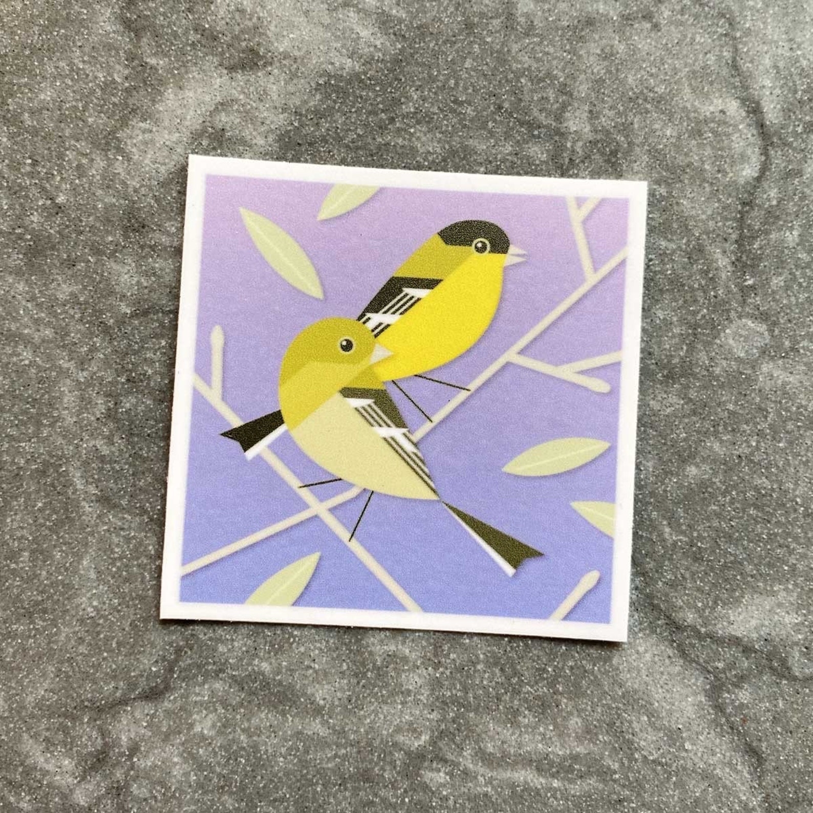 PNW Backyard Bird Sticker Set (3 Stickers) - Etsy