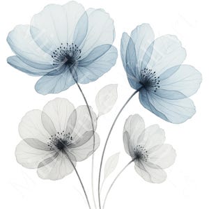 20 Abstract Flowers Clipart Bundle, Watercolor Floral Pngs, High-res ...