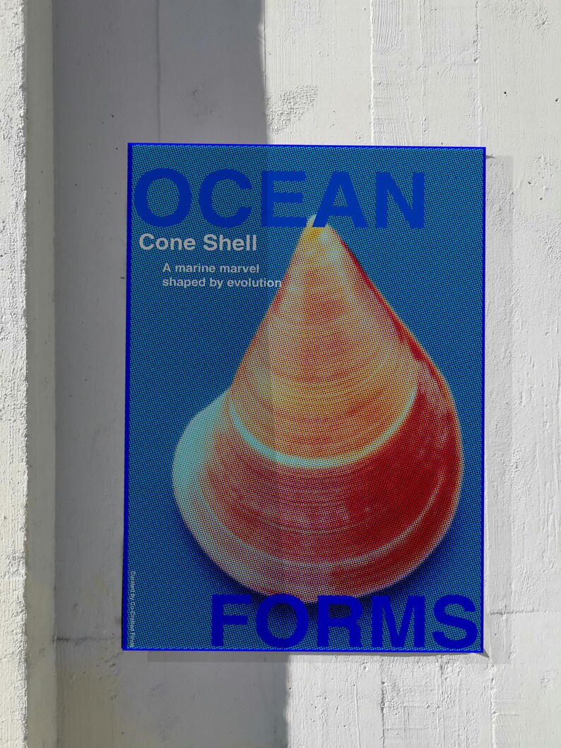 Ocean Print: Cone Shell Poster - Etsy