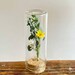 Mini Dried Flower Dome – Handmade Glass Jar Floral Decor Gift - Etsy