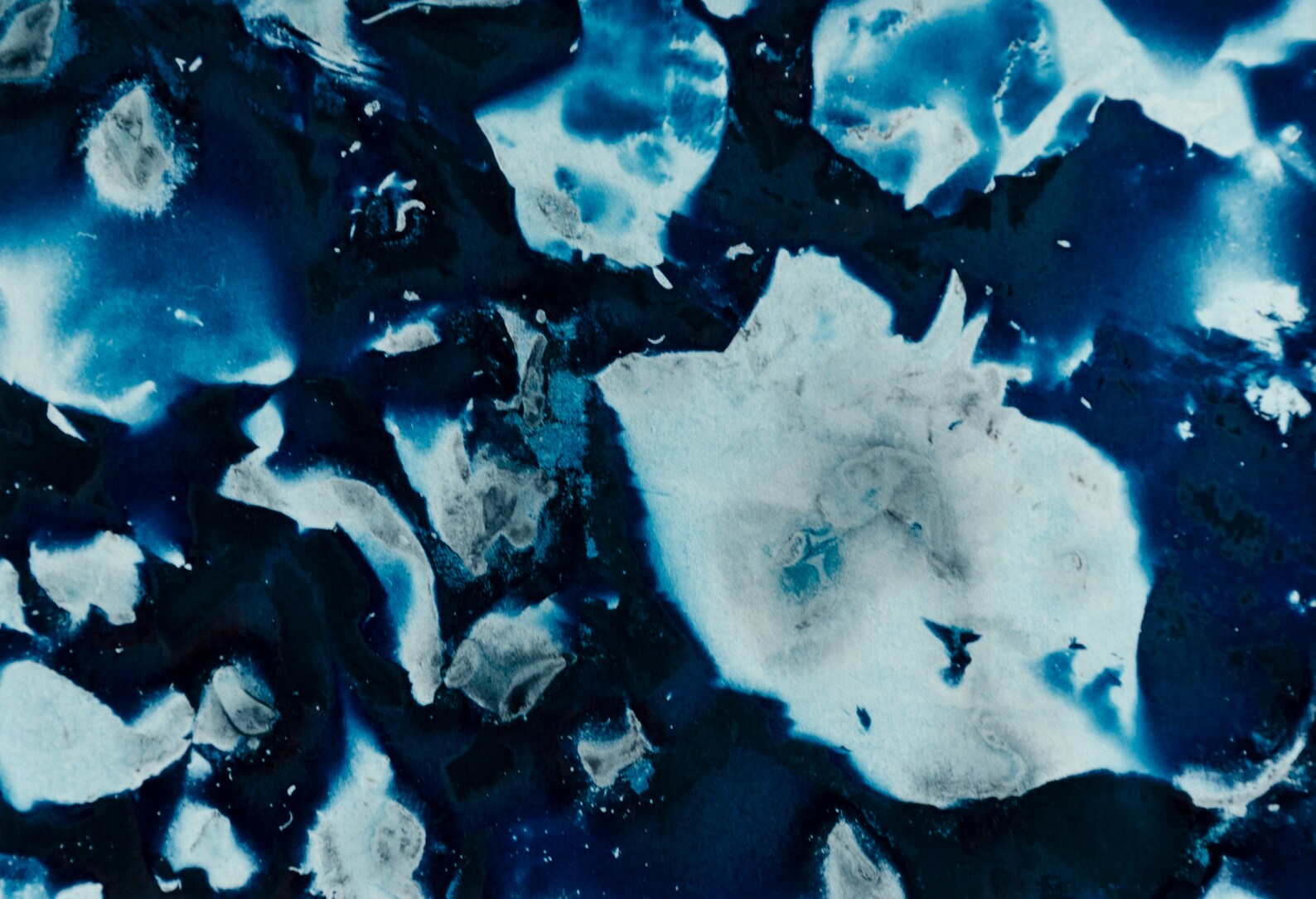 Original Abstract Cyanotype 5 X 7 Matted to - Etsy