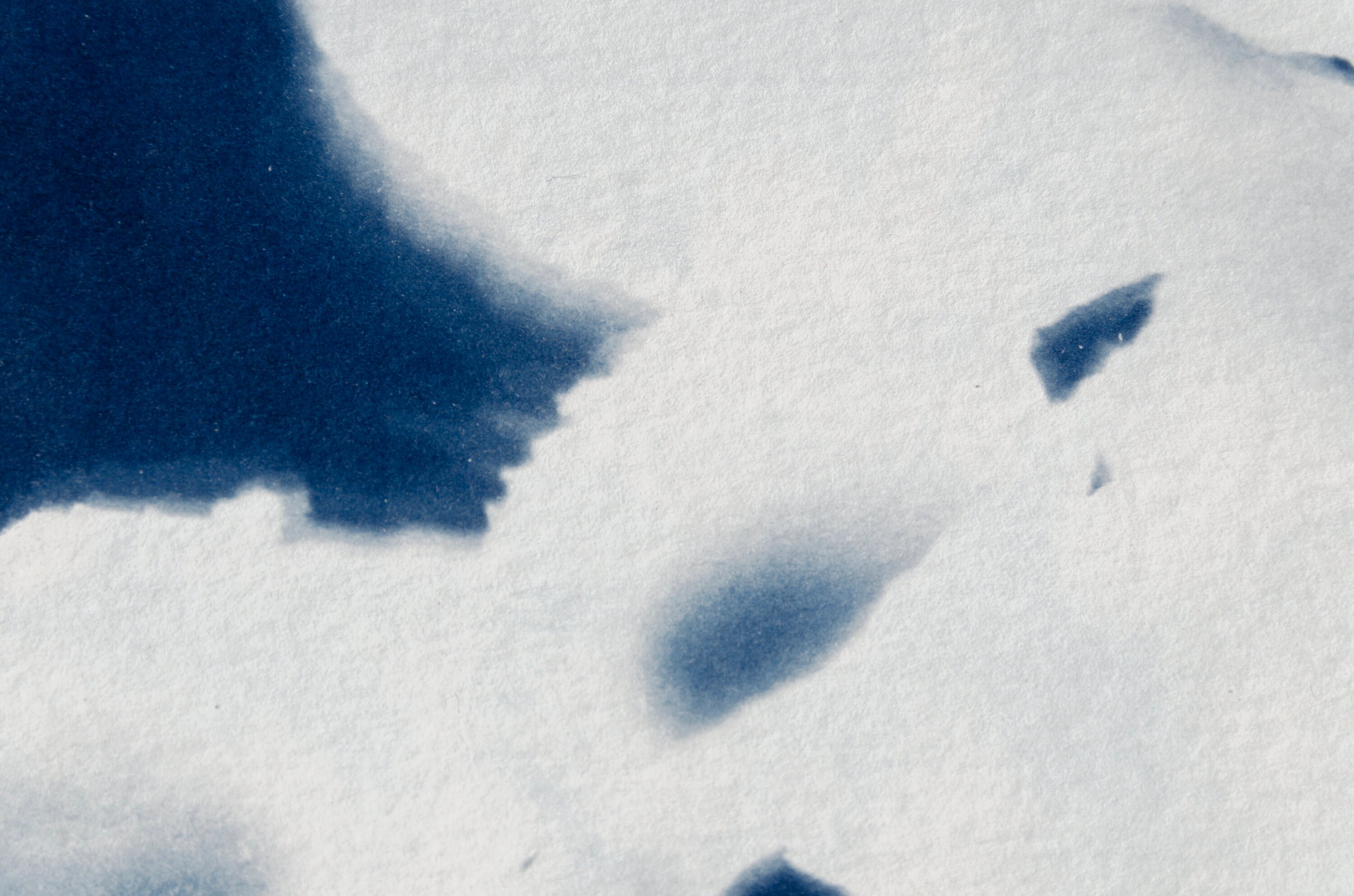 Original Abstract Cyanotype, 5x7 - Etsy Israel