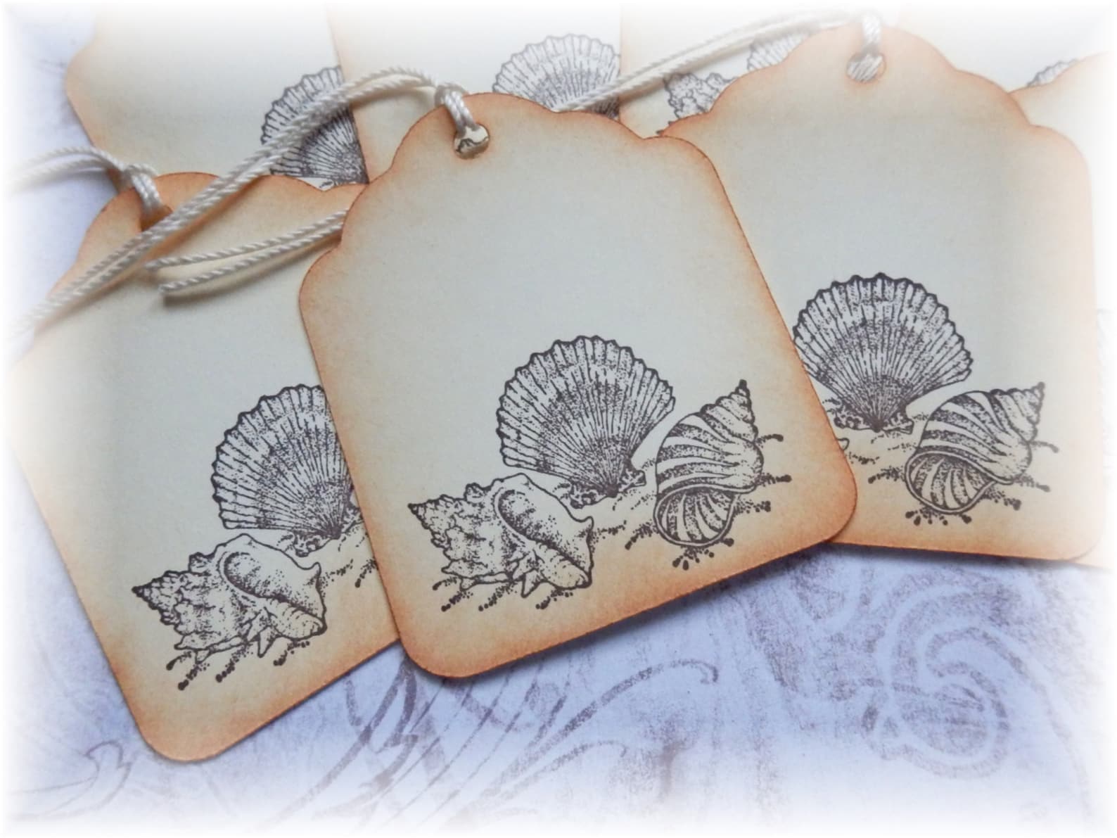 Sea Shells Ocean Dream Gift / Hang Tags 8 | Etsy