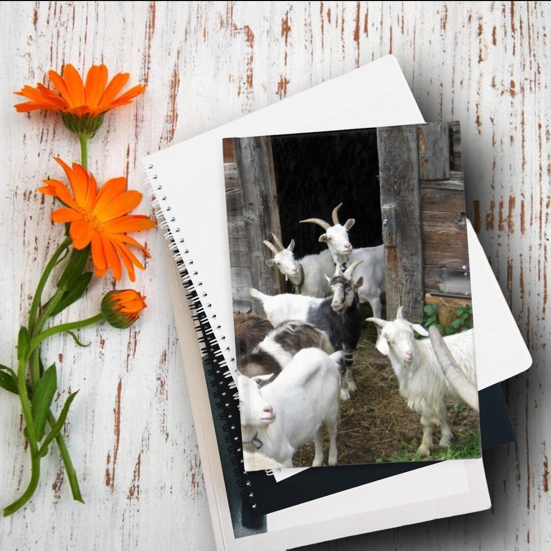 Tribe of Goats Hardcover Sketchbook Blank Country Journal, Hardcover ...