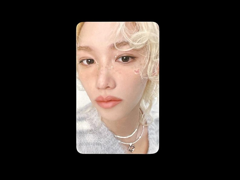 Official Felix Photocard – Stray Kids Privilege Fanmeeting Limited K ...