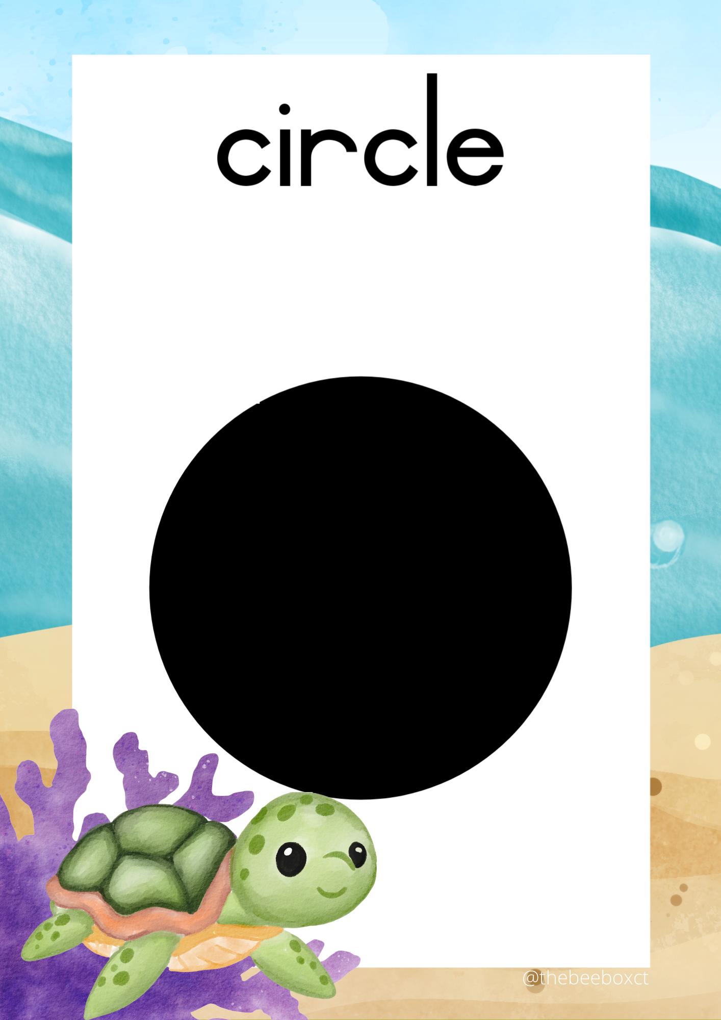 Ocean Classroom Decor Set - Etsy