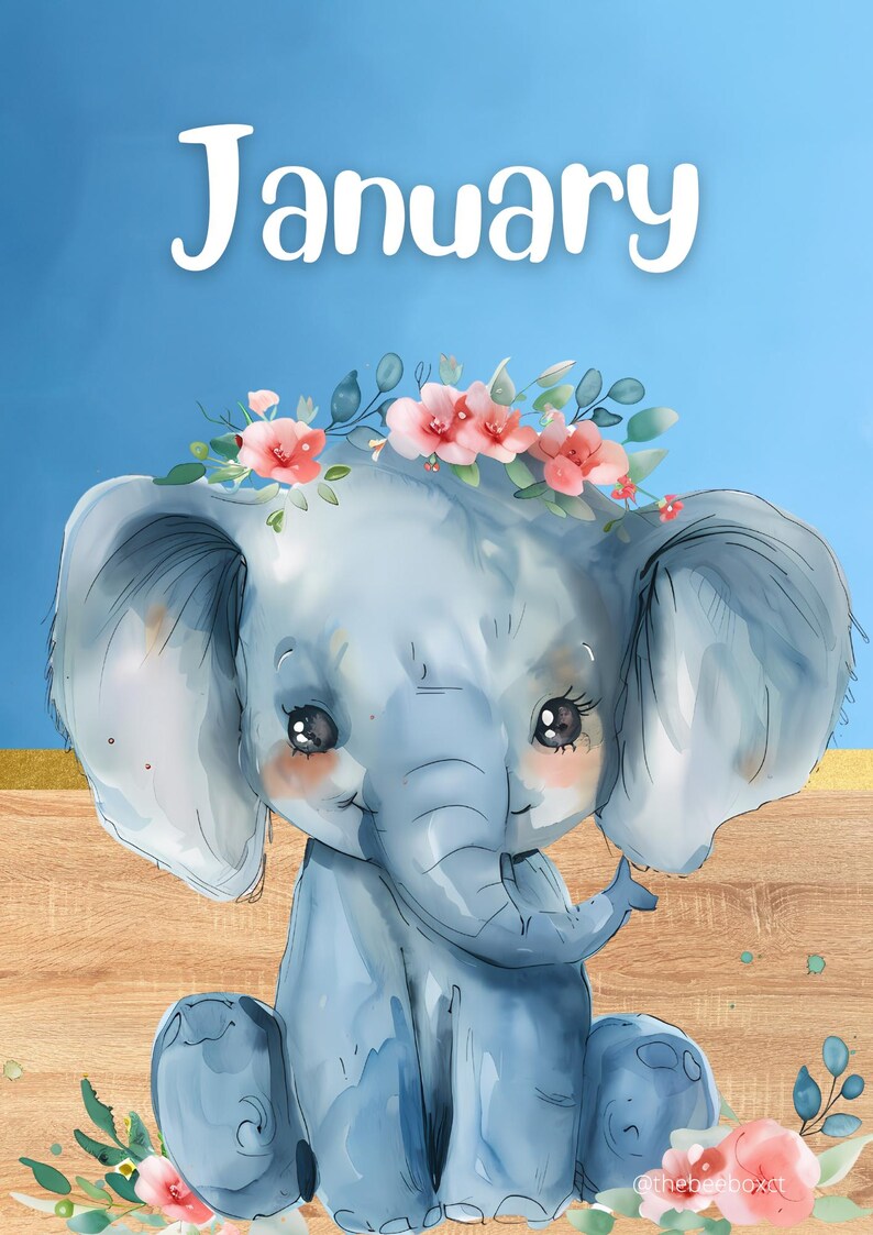 Floral Elephants Classroom Decor Set - Etsy