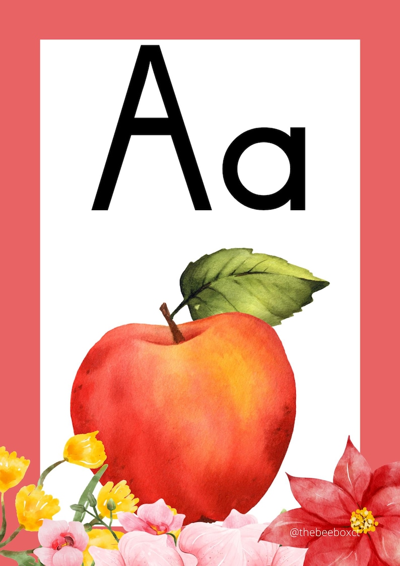 Butterfly Theme Classroom Decor Set - Etsy