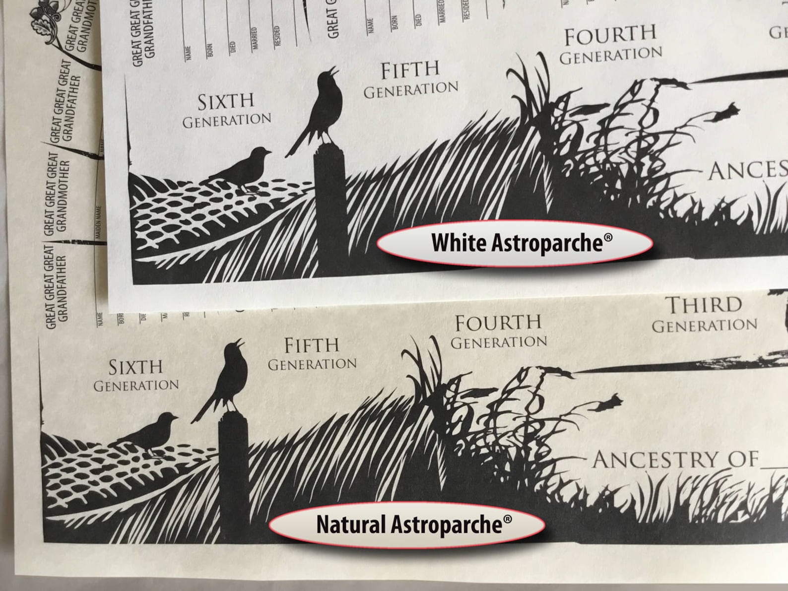 Family Trees to Fill in Blank Poster Chart Hand Print | Etsy