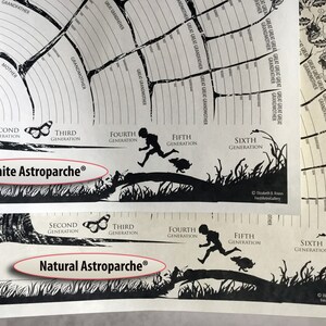 Family Tree Poster Chart, Blank to Fill-in 6-generations, 2-per-order ...