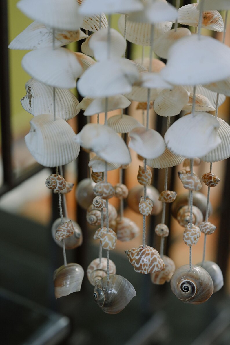 Thoughtful Ocean Theme Gift: Coastal Wind Chime, Hanging Shell Mobile ...