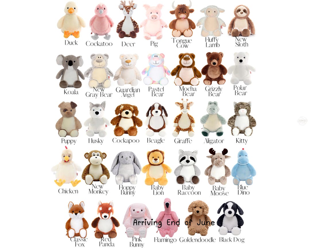 Personalize Stuffed Animal With Name, Child Birthday Gift, You Pick ...