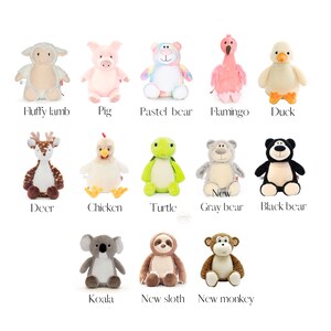 Personalize Stuffed Animal With Name, Child Birthday Gift, You Pick ...