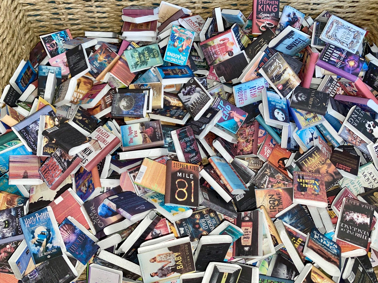 Custom TBR Mini Book Collection - Mini Books for Mini Bookshelves ...