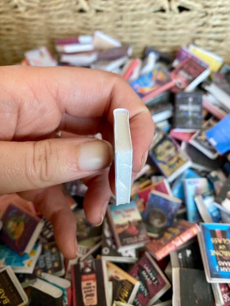 Custom TBR Mini Book Collection - Mini Books for Mini Bookshelves ...