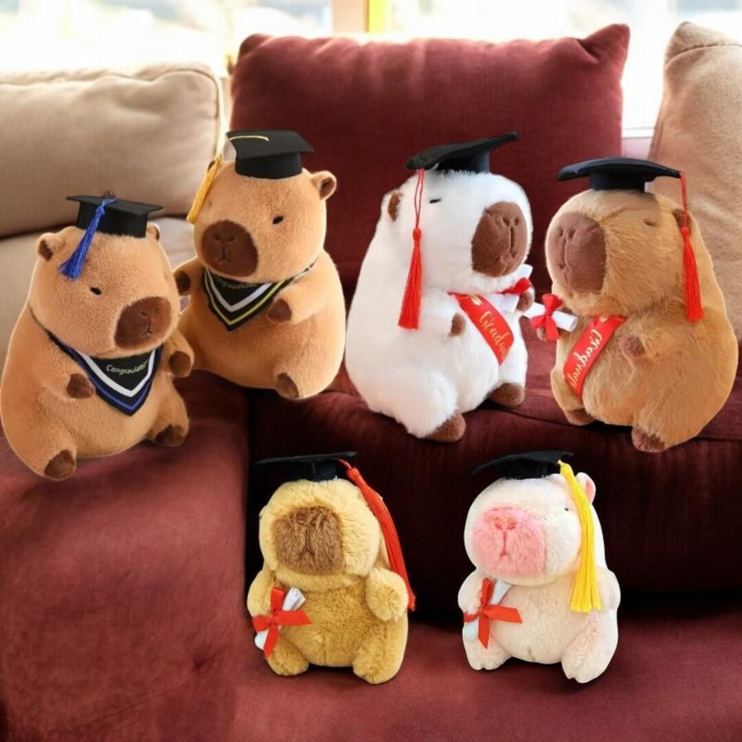Graduation Capybara Plush – Cute Graduate Gift, 12cm & 25cm Soft ...