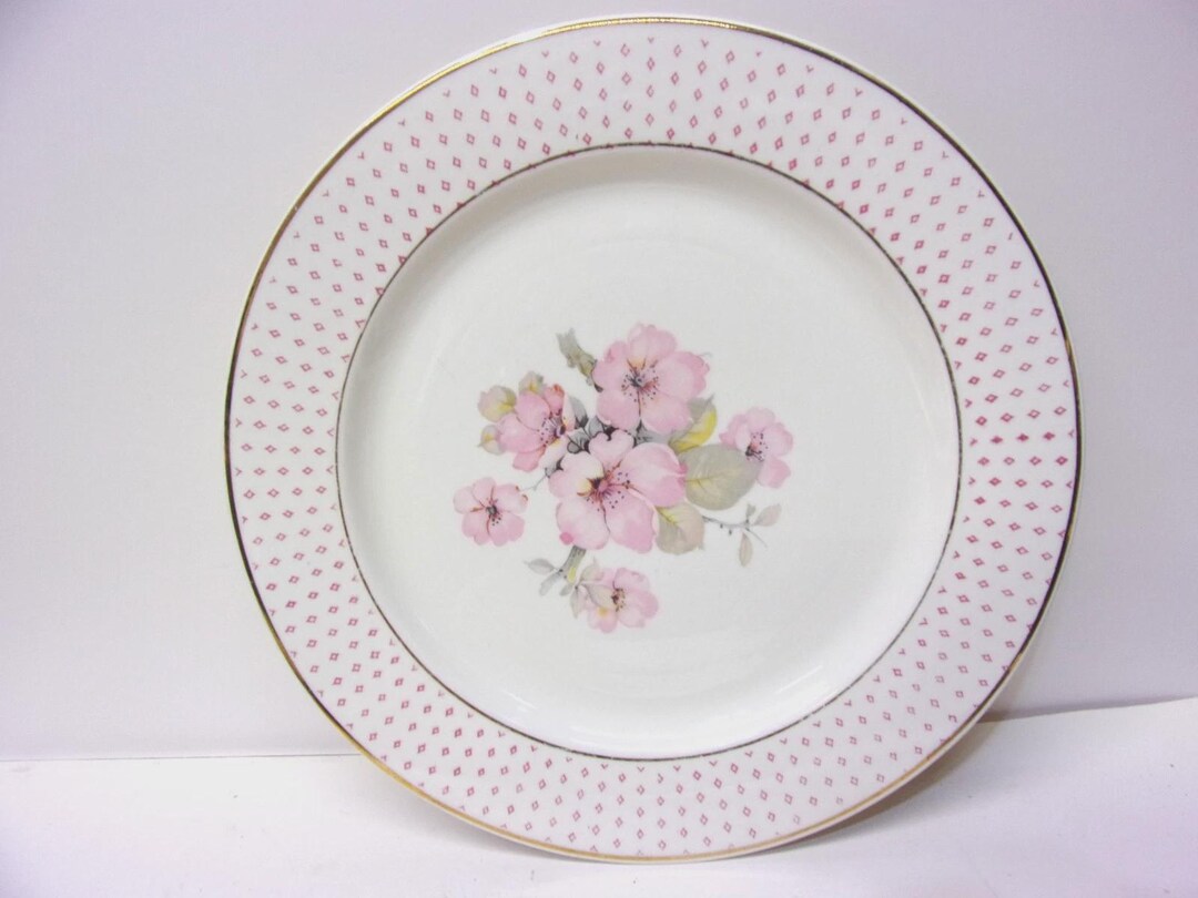 Set of Two Homer Laughlin Mary Anne Pattern Dinner Plate - Etsy