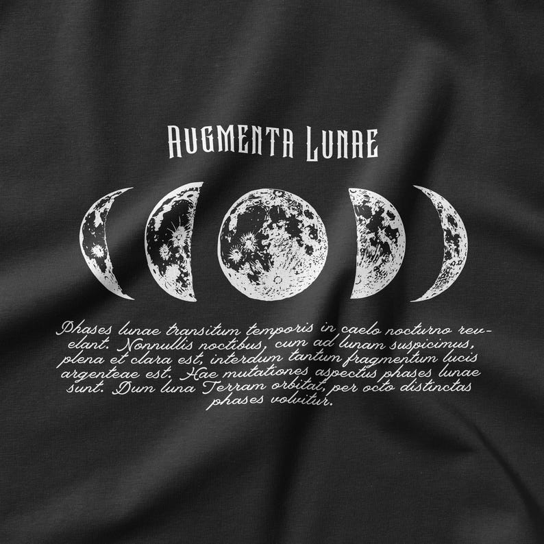 Forestcore Moon Phases Shirt, Moth T-shirt, Night Butterfly, Ancient ...