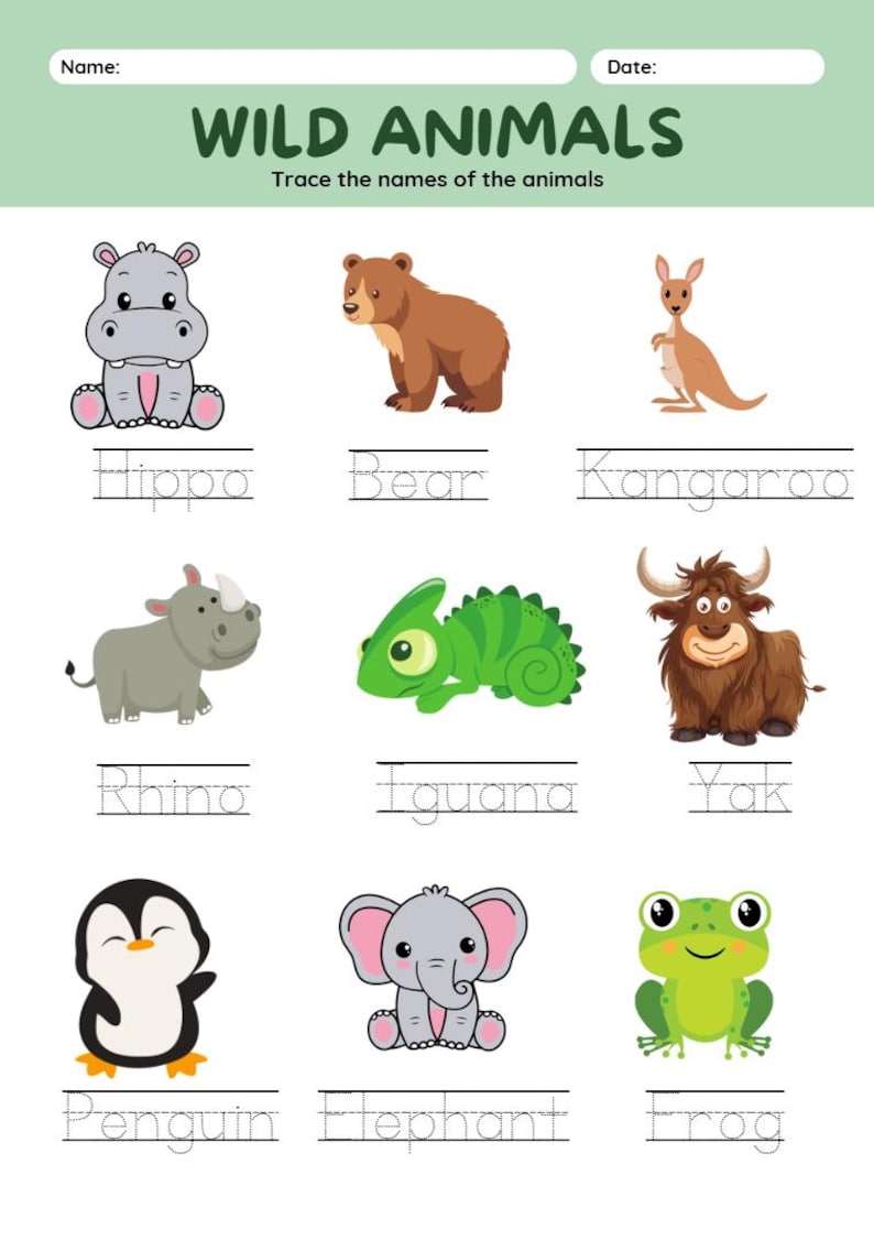 For Children, Trace Animal Names Worksheets - Etsy