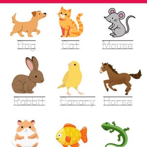 For Children, Trace Animal Names Worksheets - Etsy