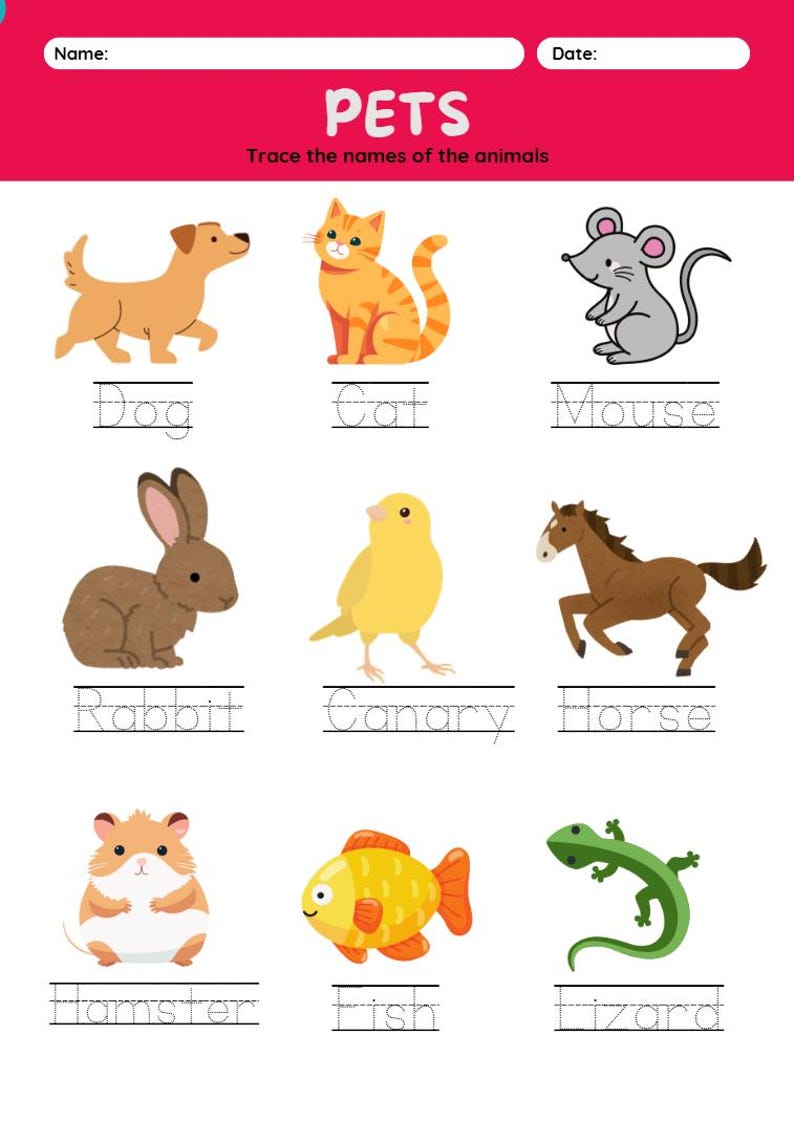 For Children, Trace Animal Names Worksheets - Etsy
