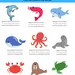 For Children, Trace Animal Names Worksheets - Etsy