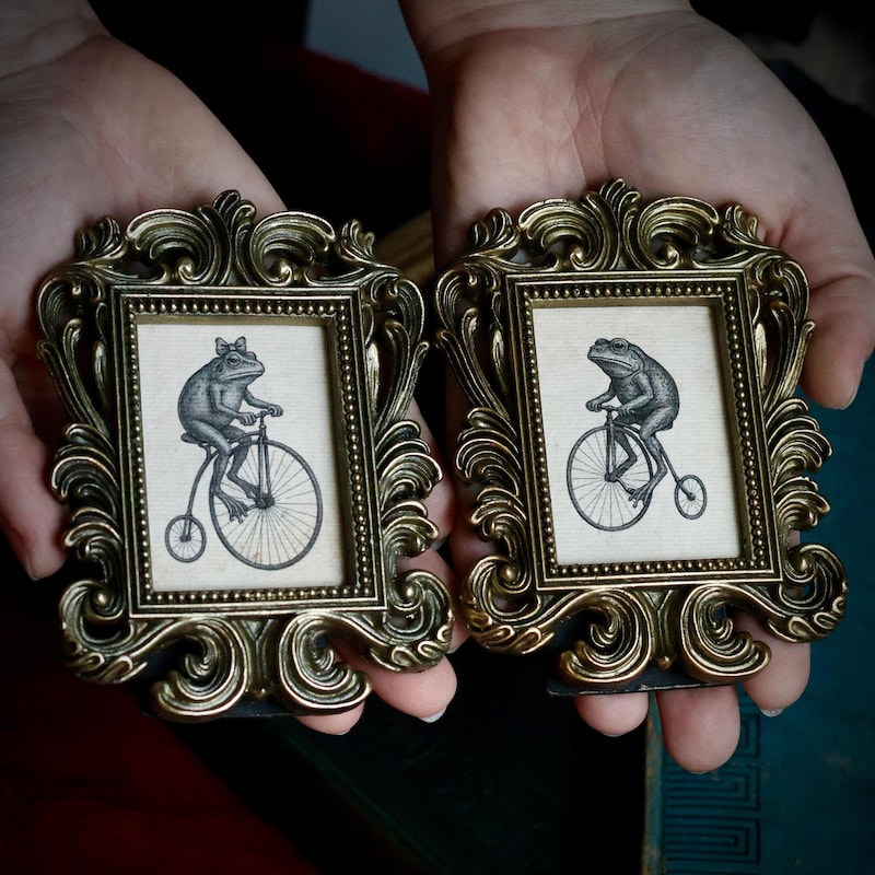 Victorian Toad Framed - Etsy