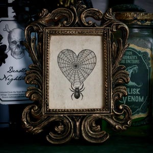 Baroque Spider With Heart Web Mini Portrait in Vintage Style Frame ...