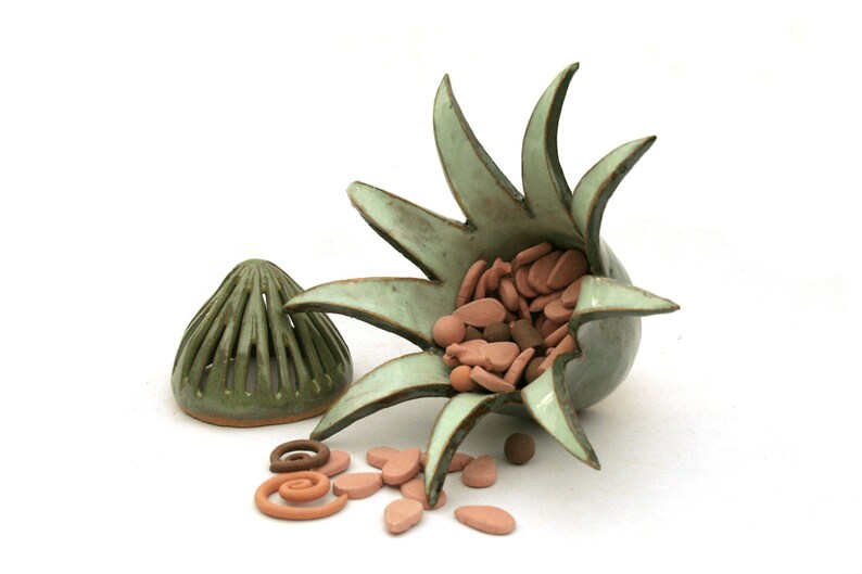 Cactus Flower Pod Spa Handmade Pottery - Etsy